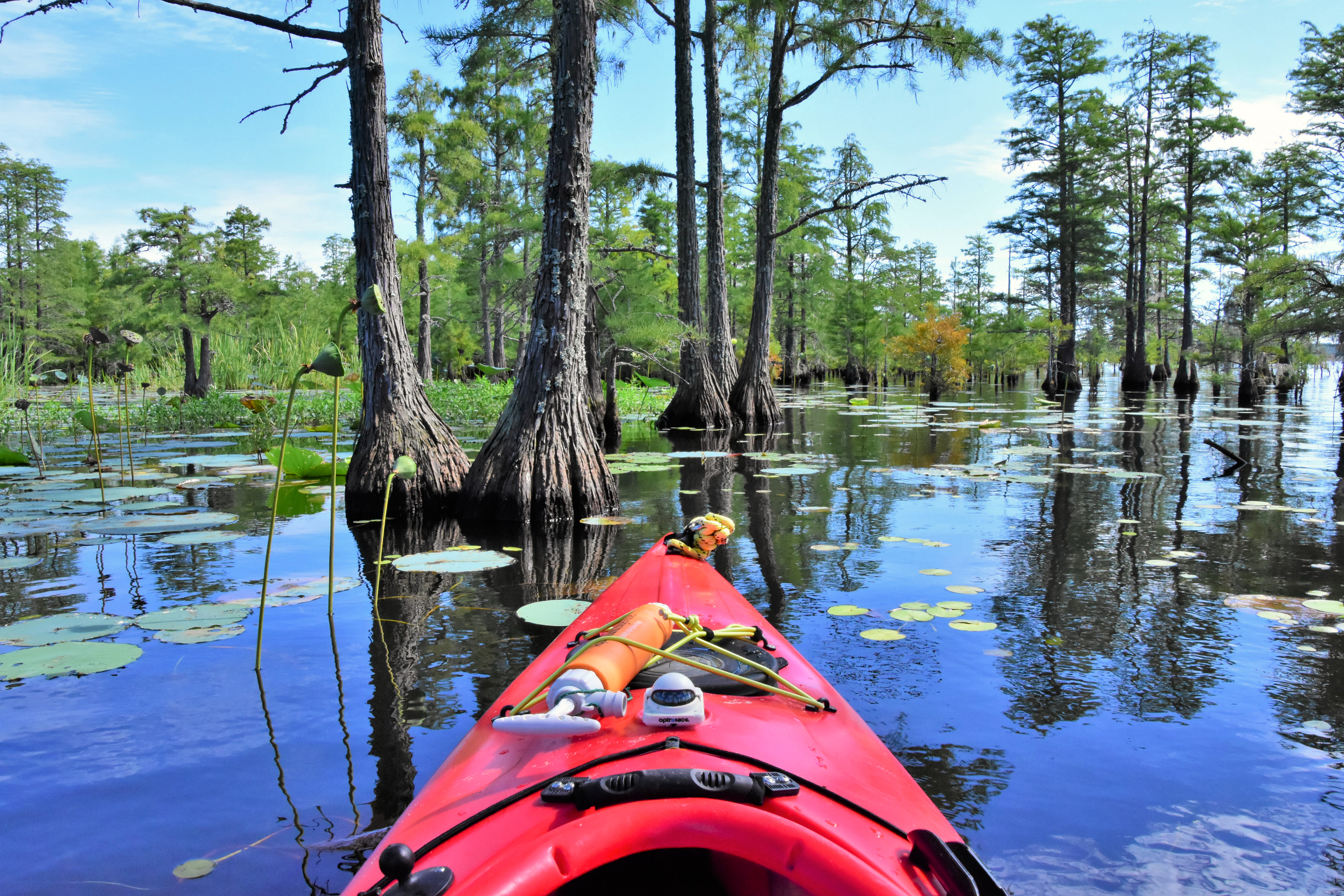 Berkeley County Government – Investing in Tomorrow TODAY